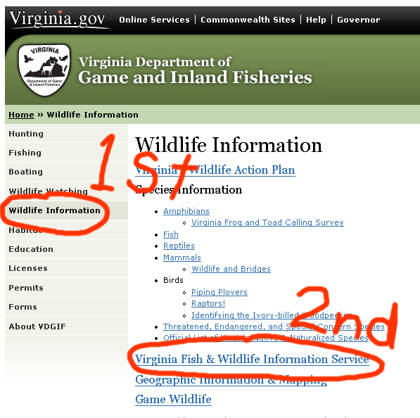 Introduction to VaFWIS